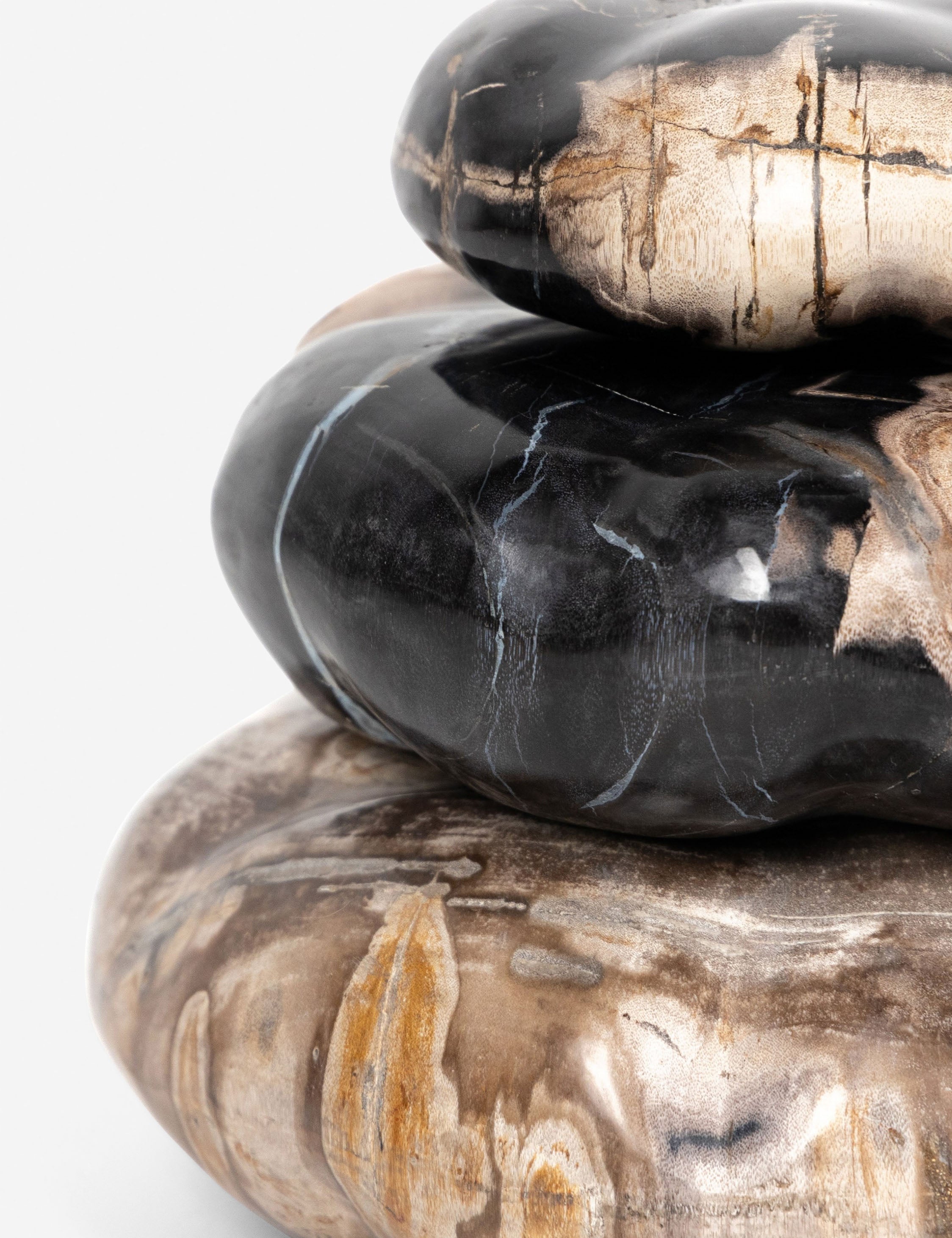 Alessandra Petrified Wood Sculpture