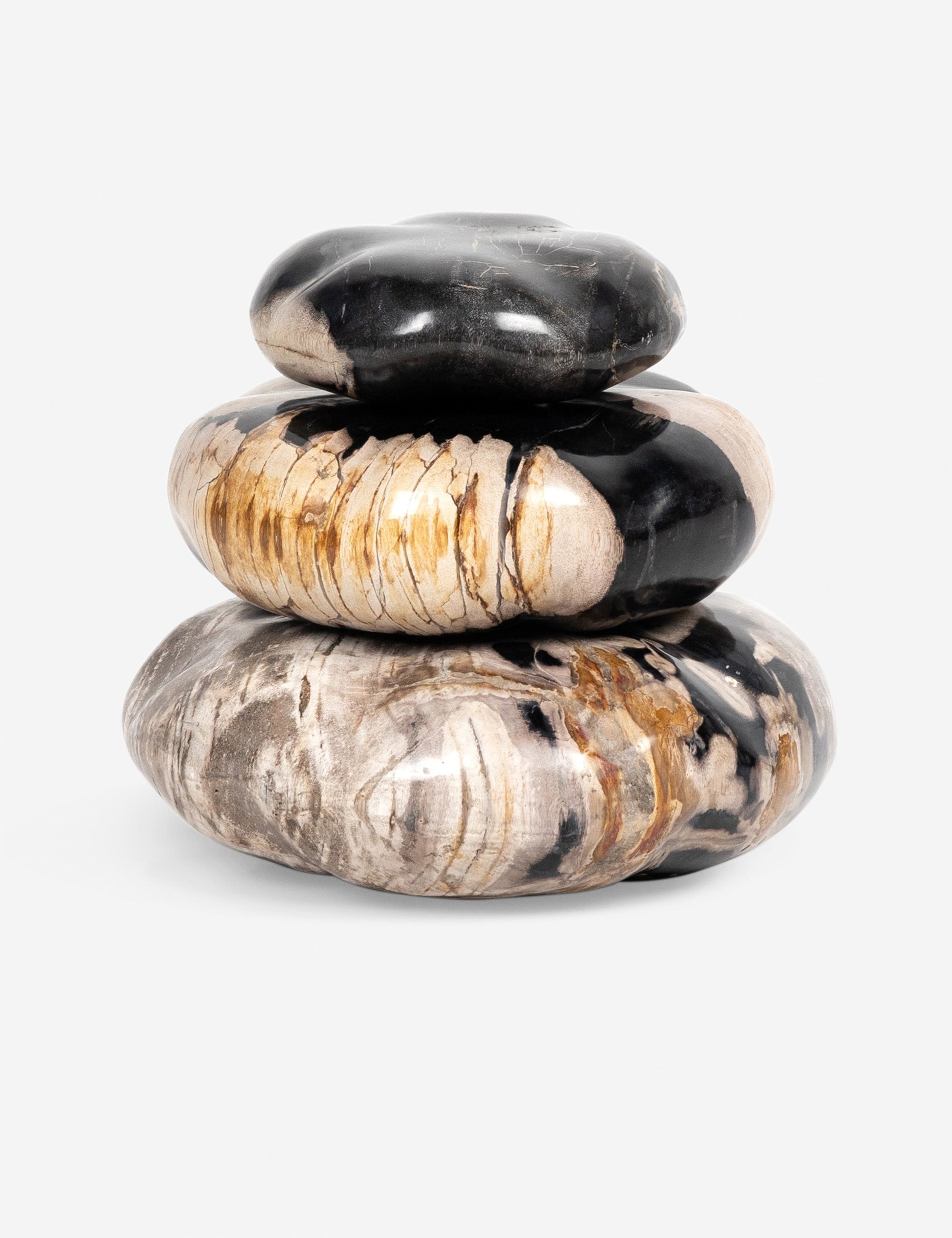 Alessandra Petrified Wood Sculpture