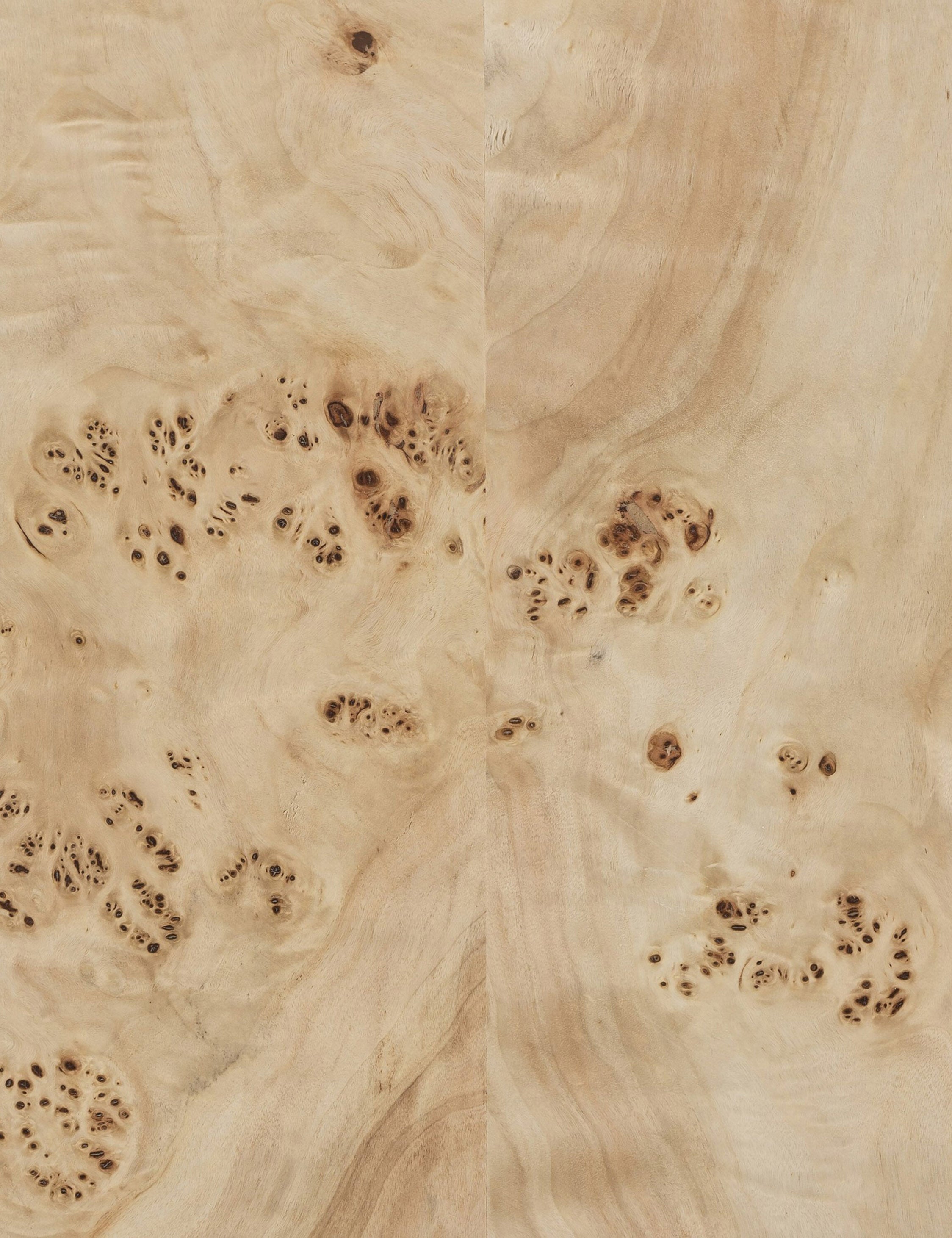 Mondaro Burl Wood Coffee Table
