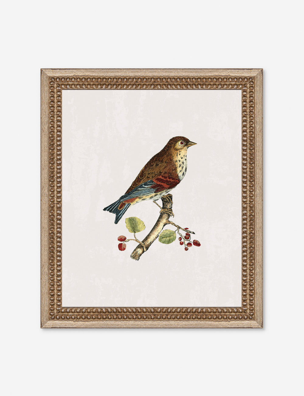 Small Birds I Wall Art by Old World
