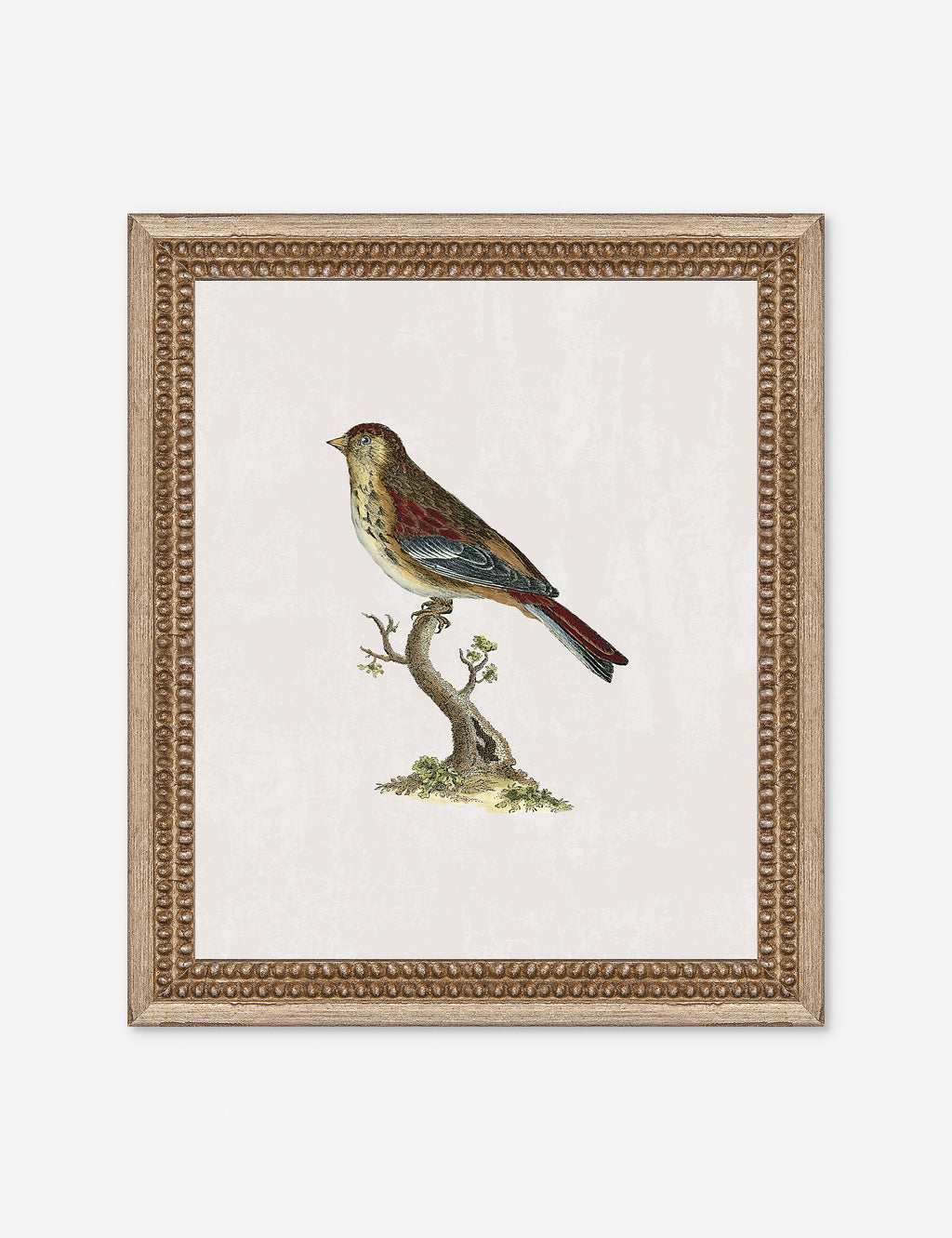 Small Birds I Wall Art by Old World