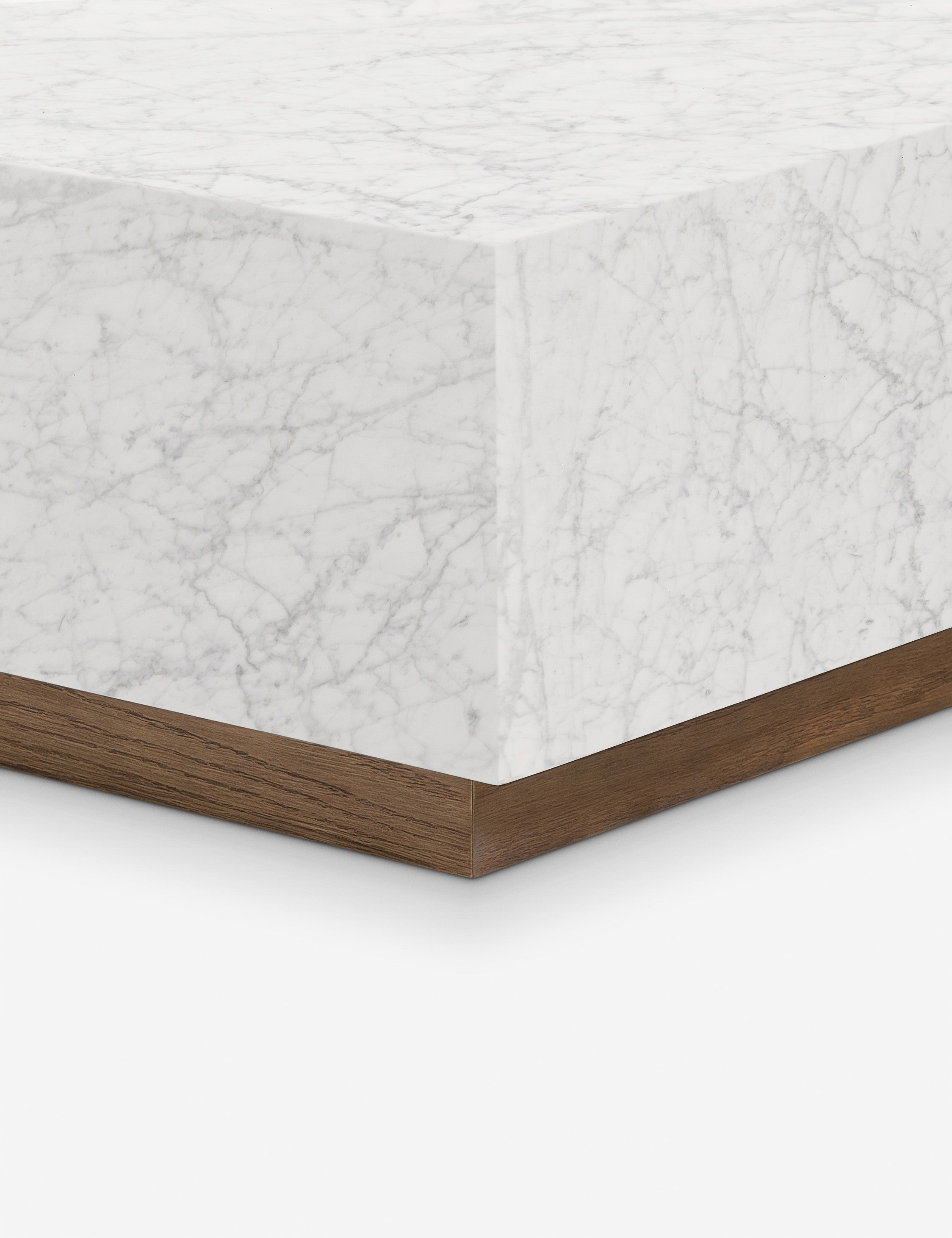 Janus Coffee Table