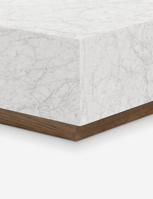 Janus Coffee Table