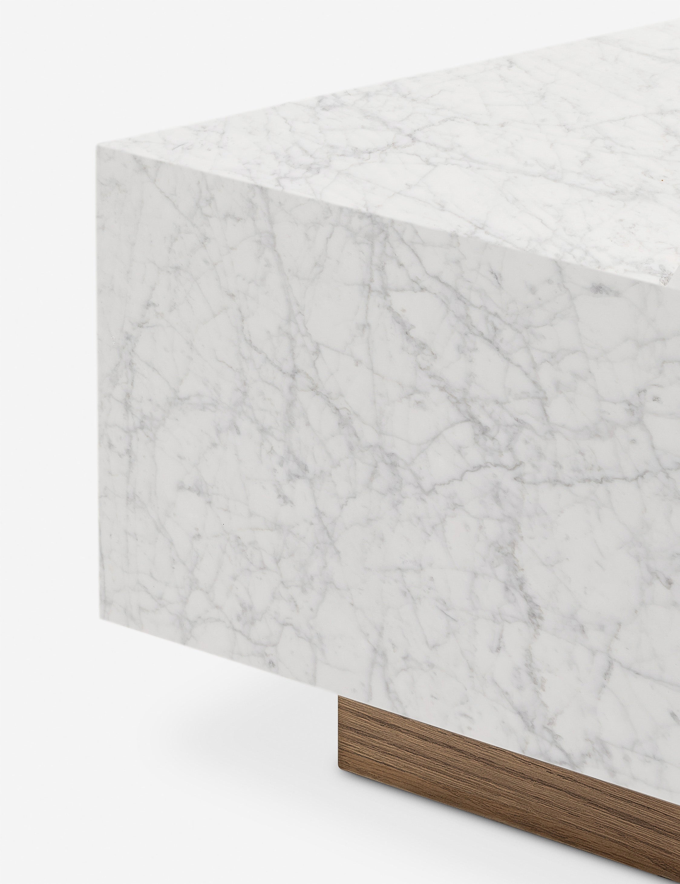 Janus Coffee Table