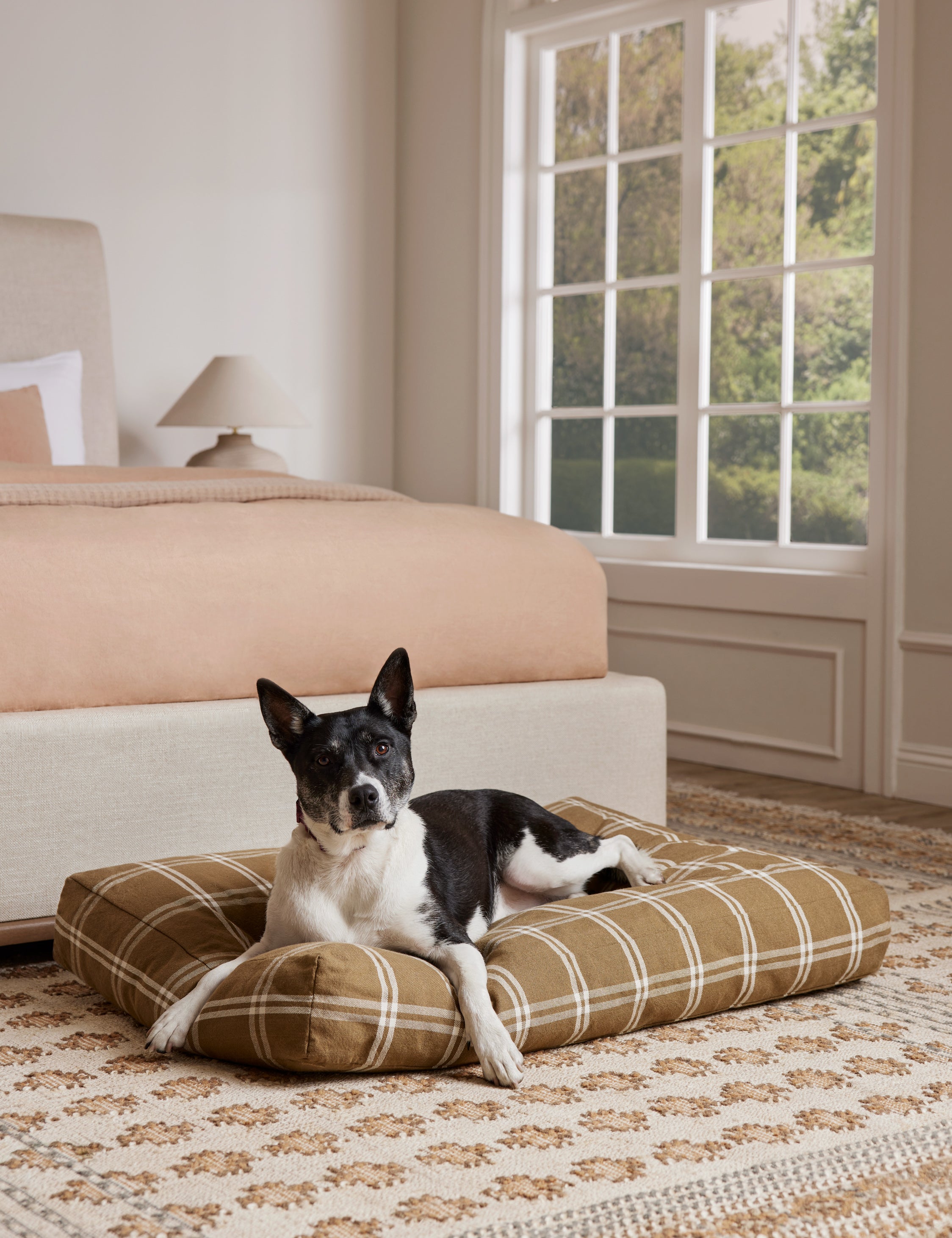 Rollo Plaid Dog Bed
