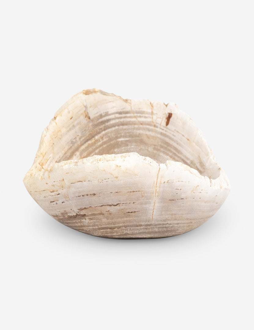 Noki Decorative Petrified Wood Bowl