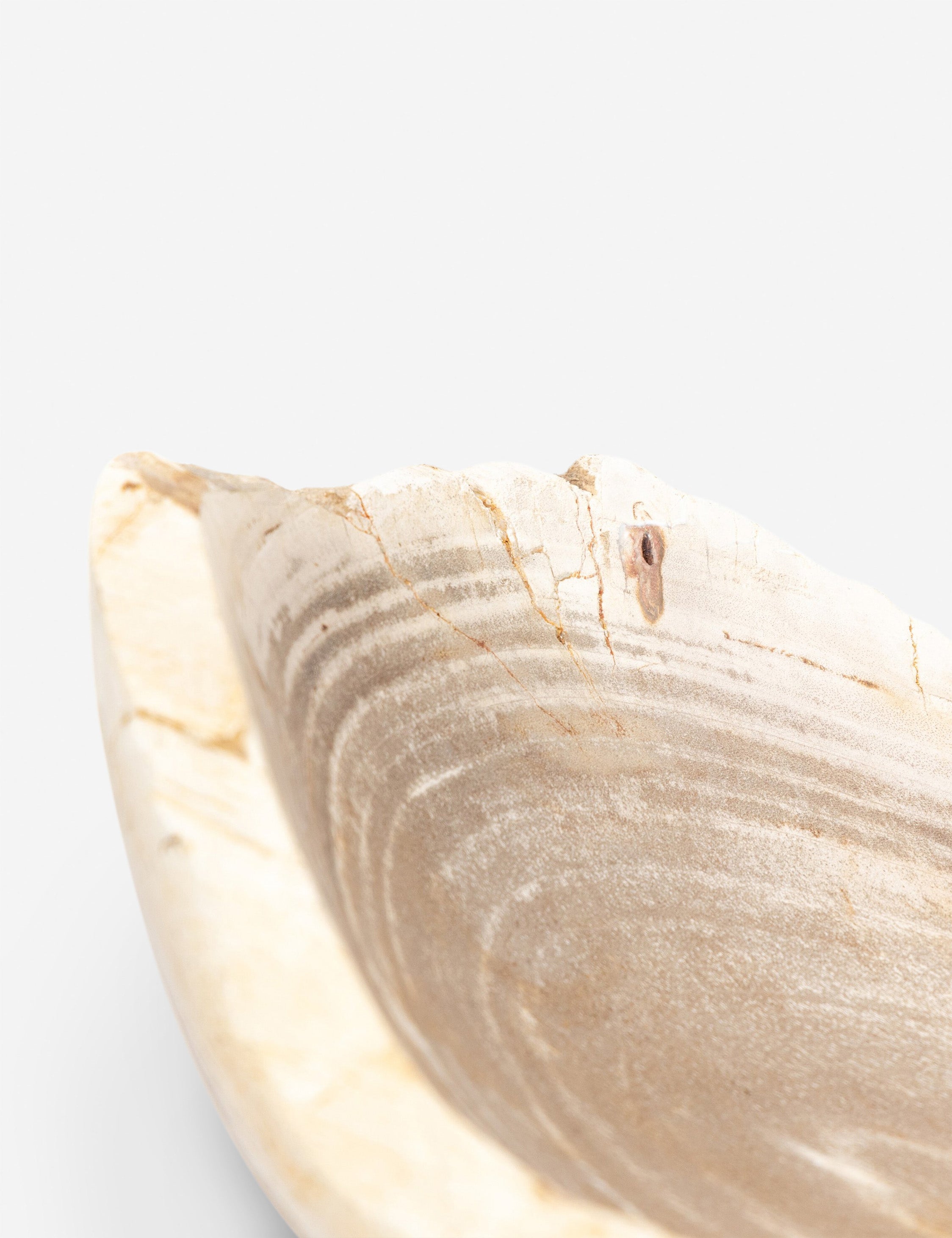 Noki Decorative Petrified Wood Bowl