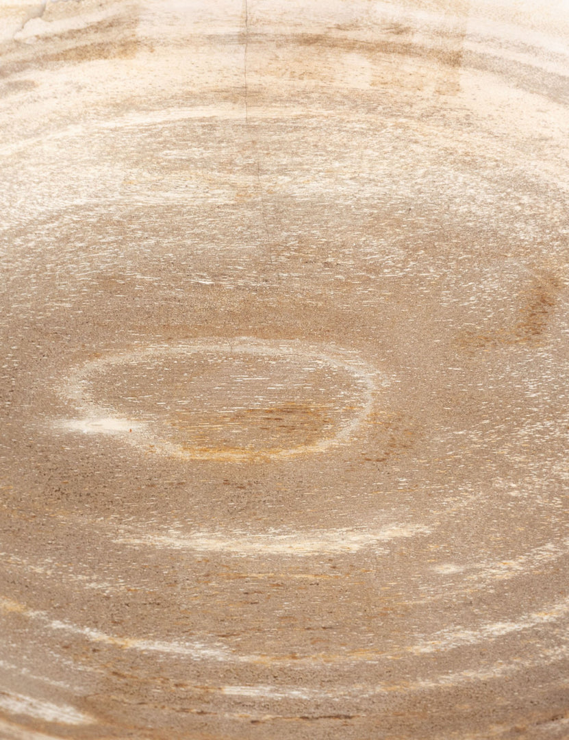 Noki Decorative Petrified Wood Bowl