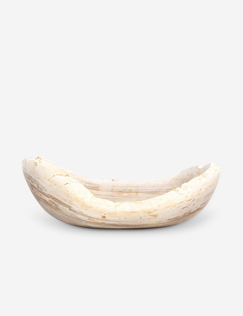 Noki Decorative Petrified Wood Bowl