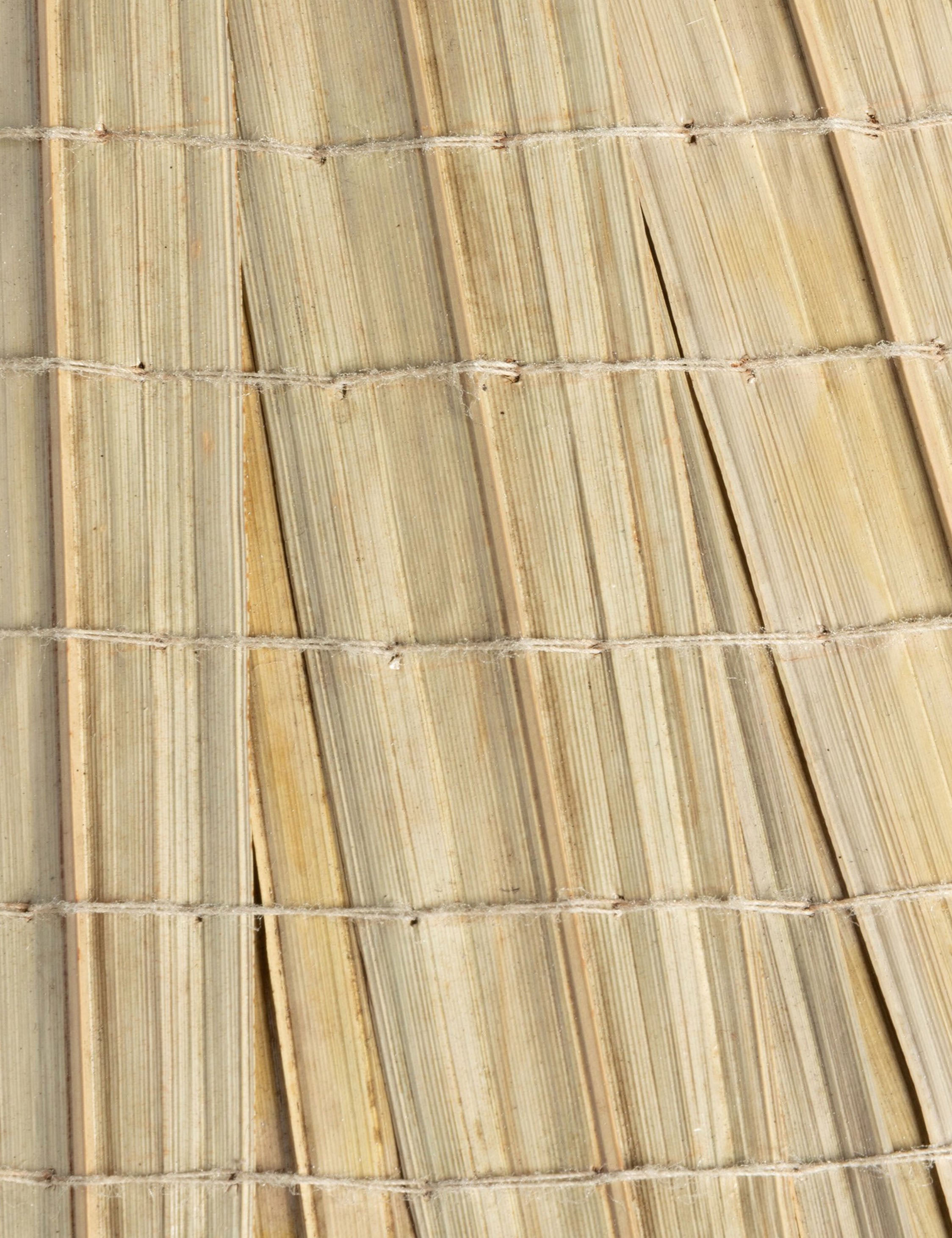 Ertha Neutral Table Lamp With a Woven Palm Shade