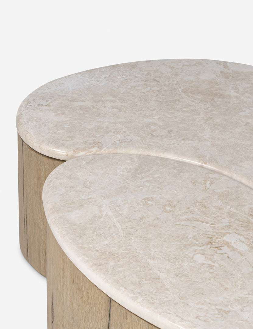Lazaro Marble Nesting Coffee Table