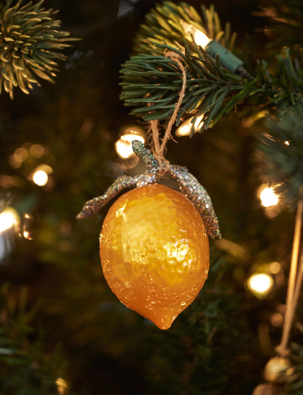 Lemon Ornament by Cody Foster