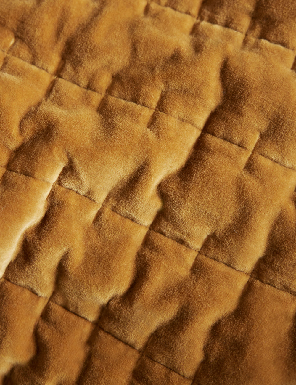 Anderson Velvet Quilt