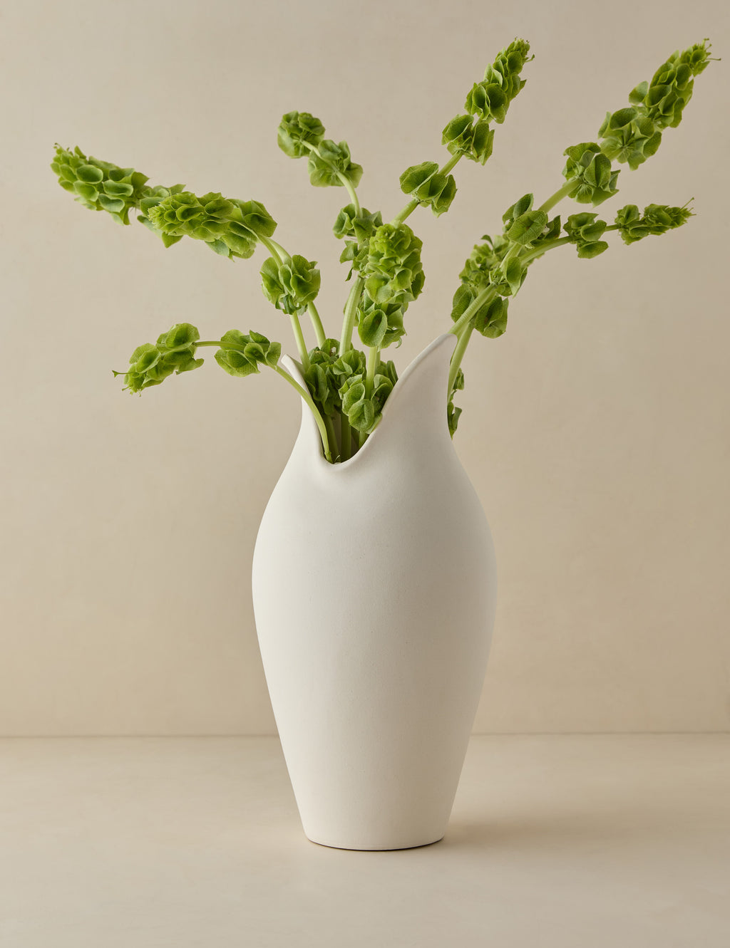 Avayah Ceramic Vase