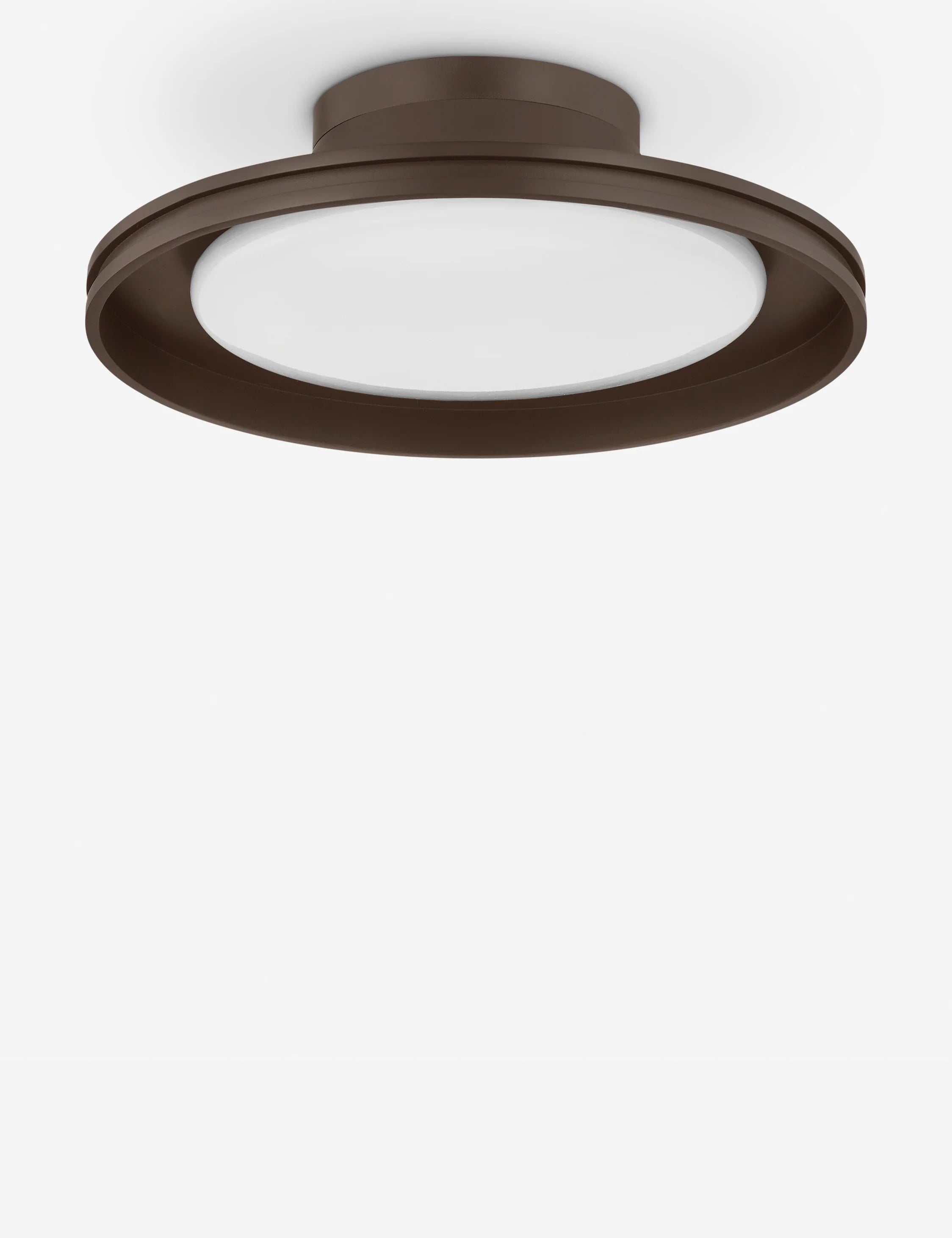 Marichelle Outdoor Sconce