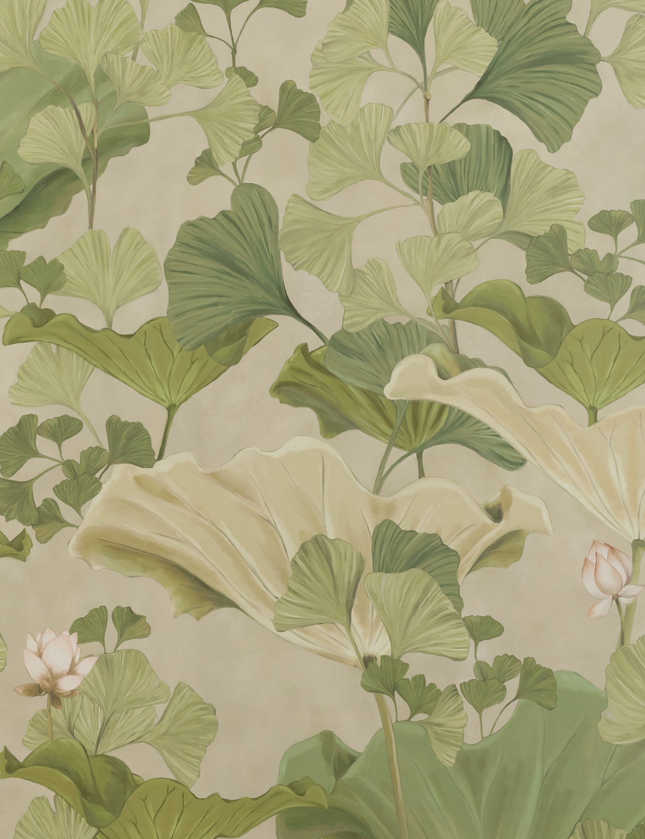 Lotus Wallpaper by Aimee Song