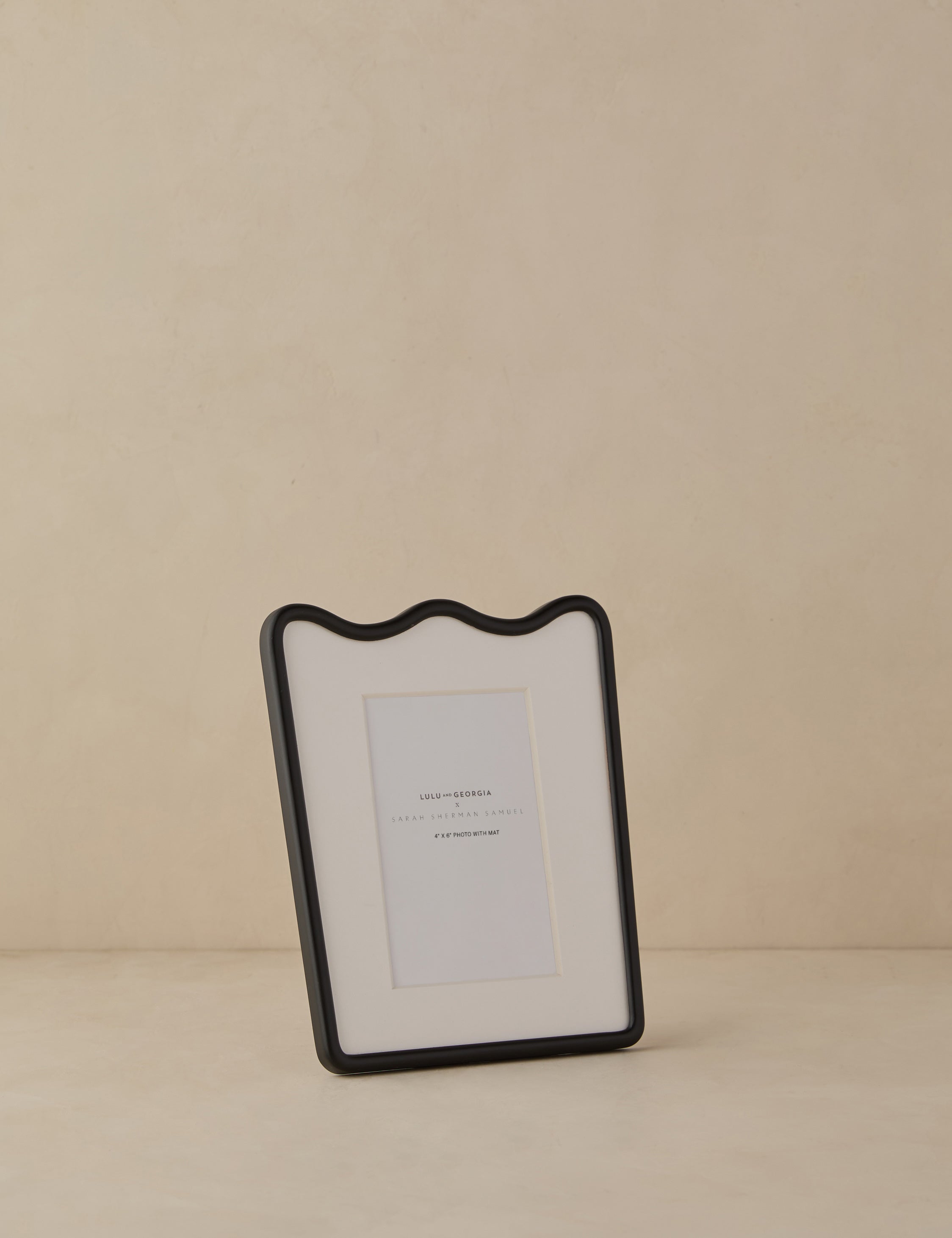 Rook Picture Frame by Sarah Sherman Samuel