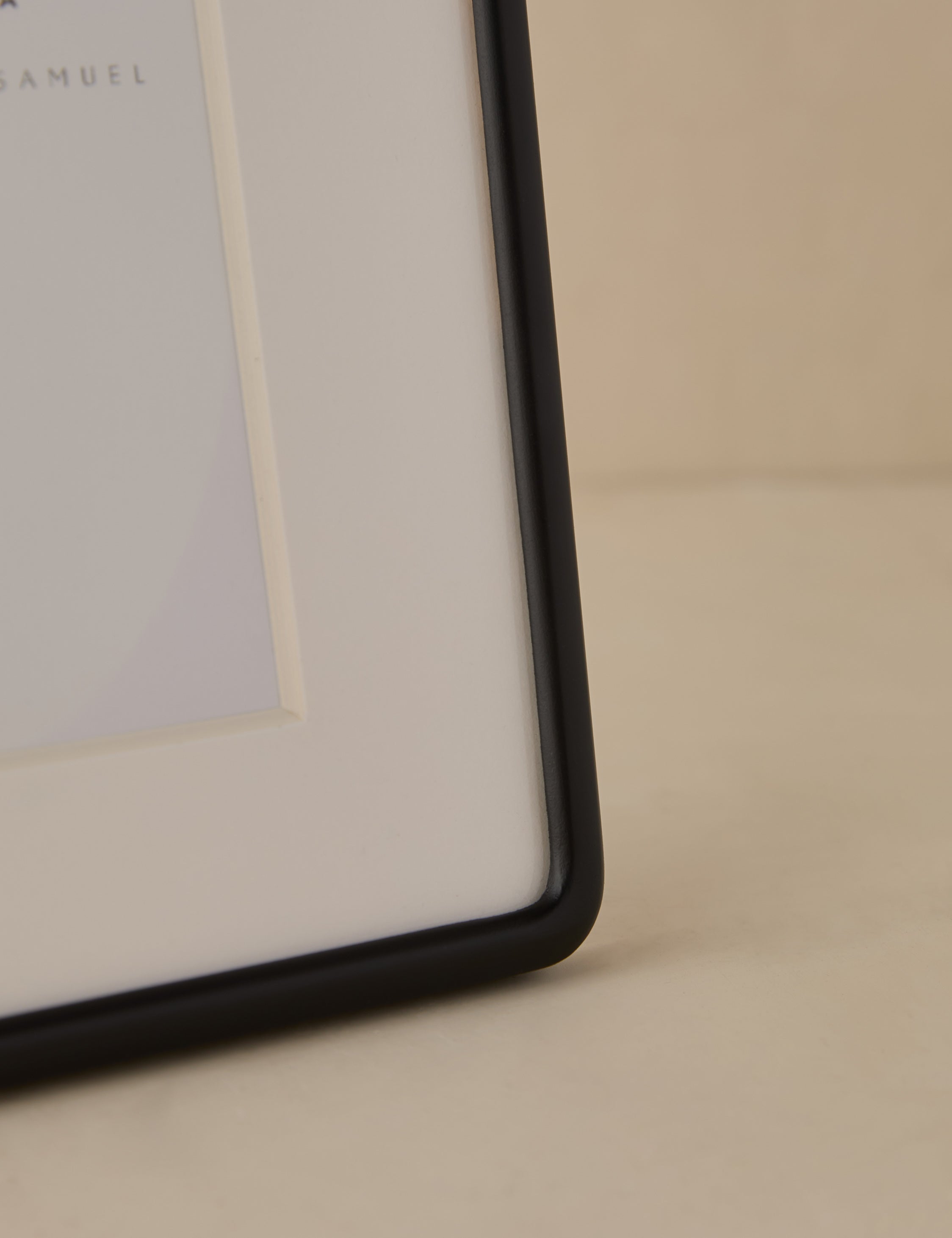 Rook Picture Frame by Sarah Sherman Samuel