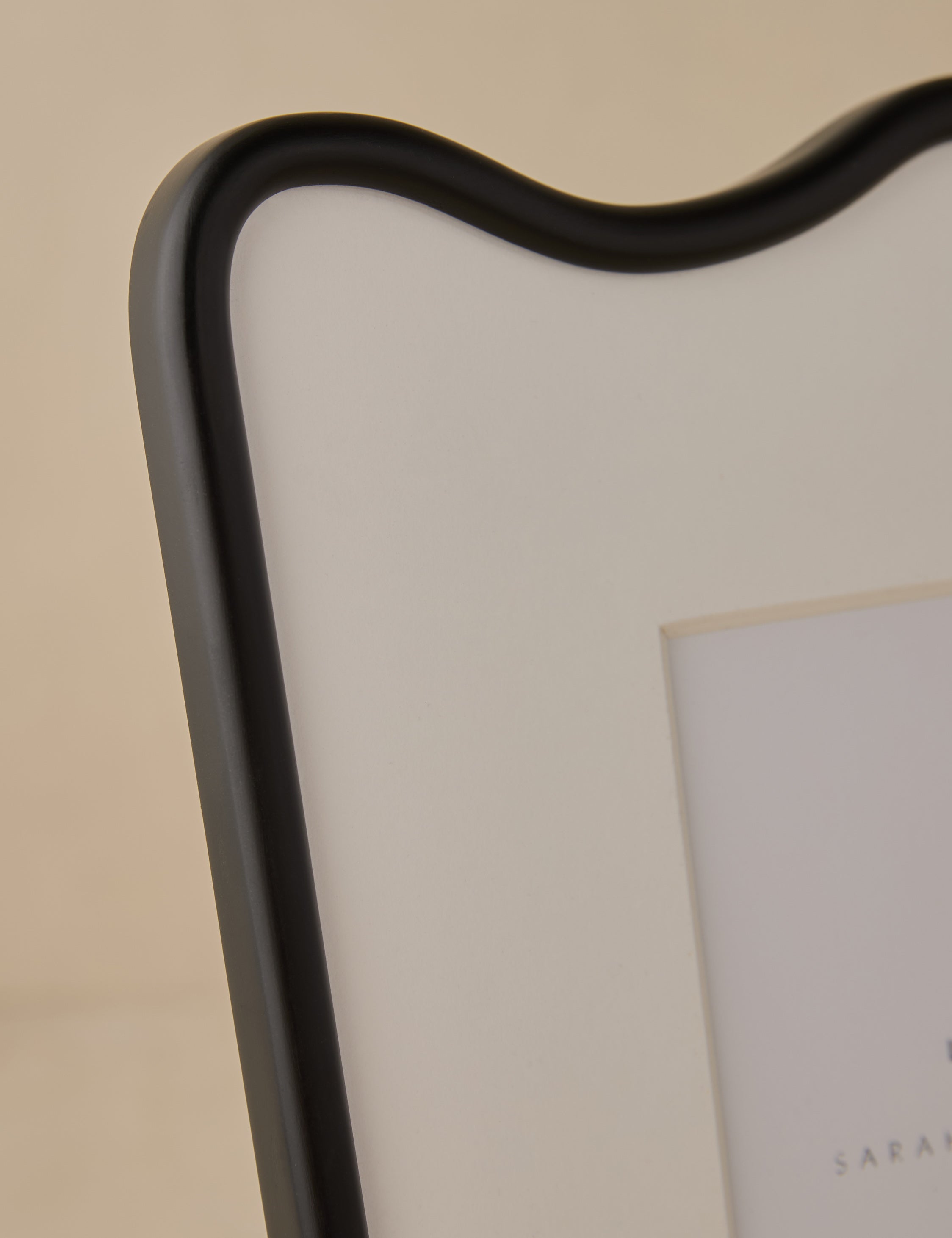 Rook Picture Frame by Sarah Sherman Samuel