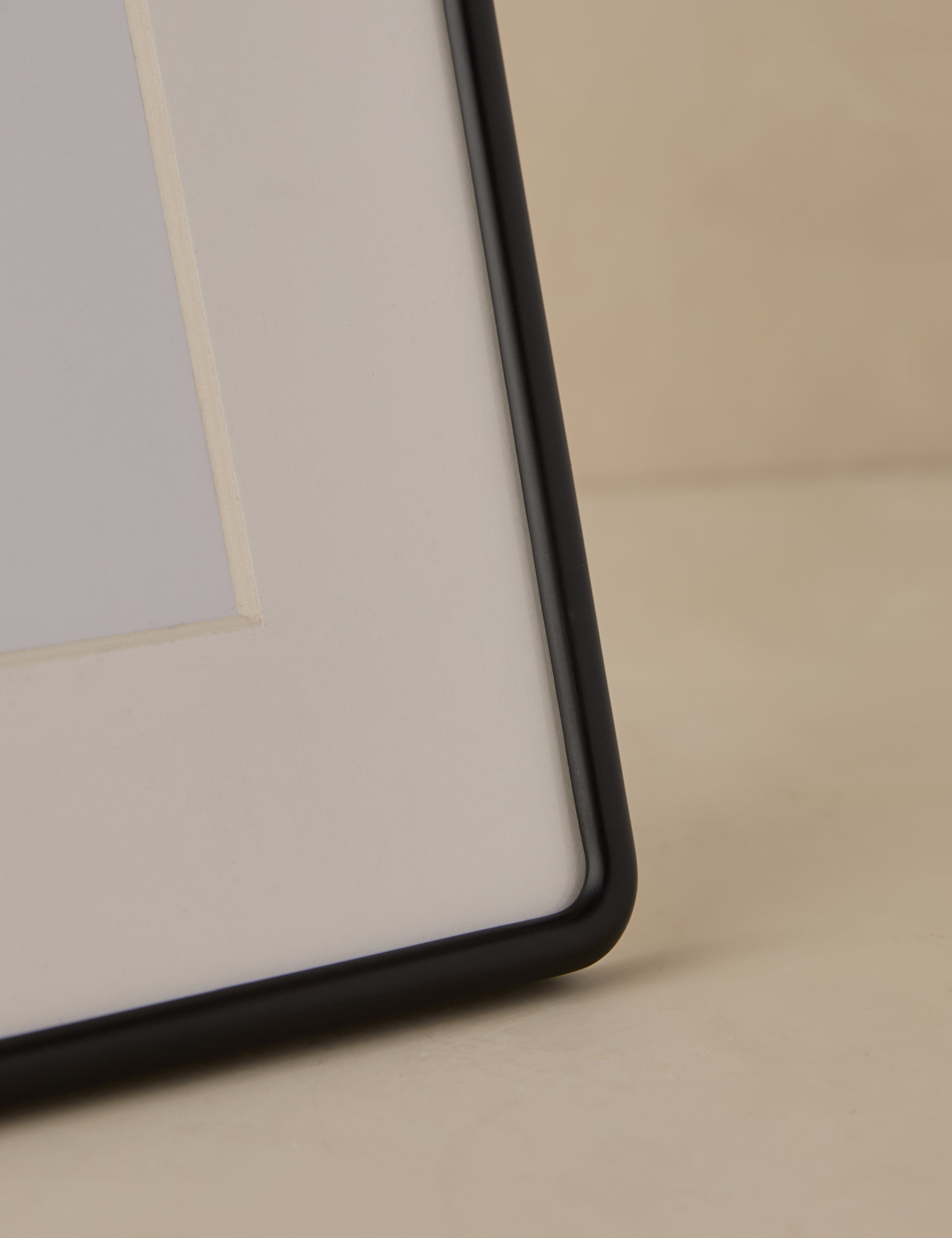 Rook Picture Frame by Sarah Sherman Samuel