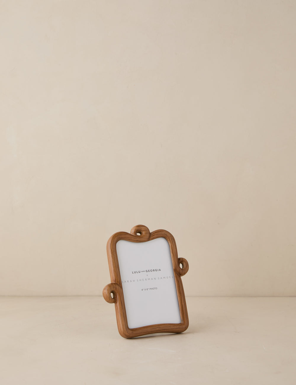 Looped Picture Frame by Sarah Sherman Samuel