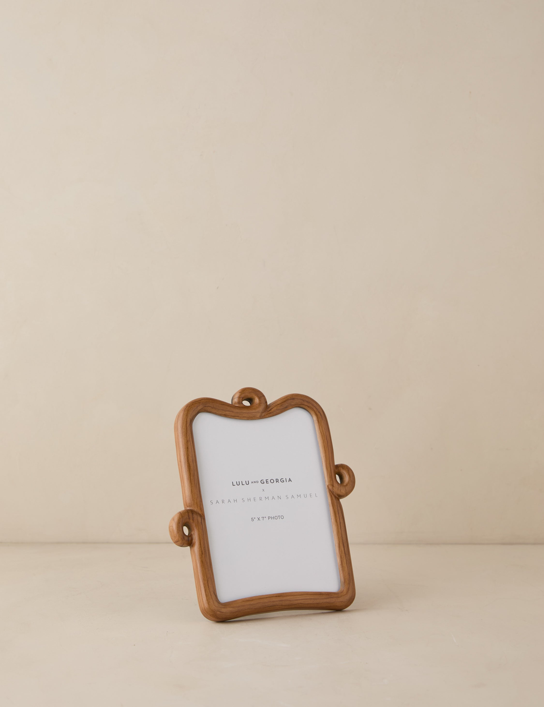 Looped Picture Frame by Sarah Sherman Samuel