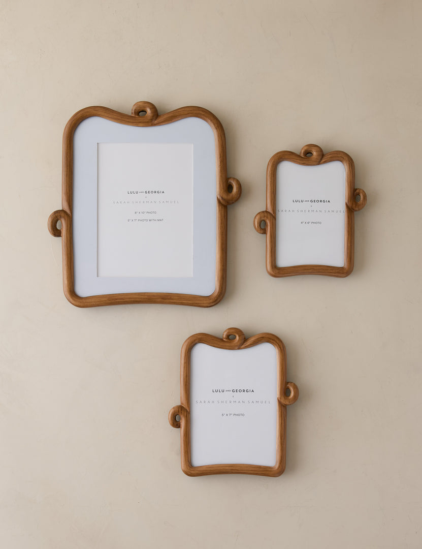 Looped Picture Frame by Sarah Sherman Samuel
