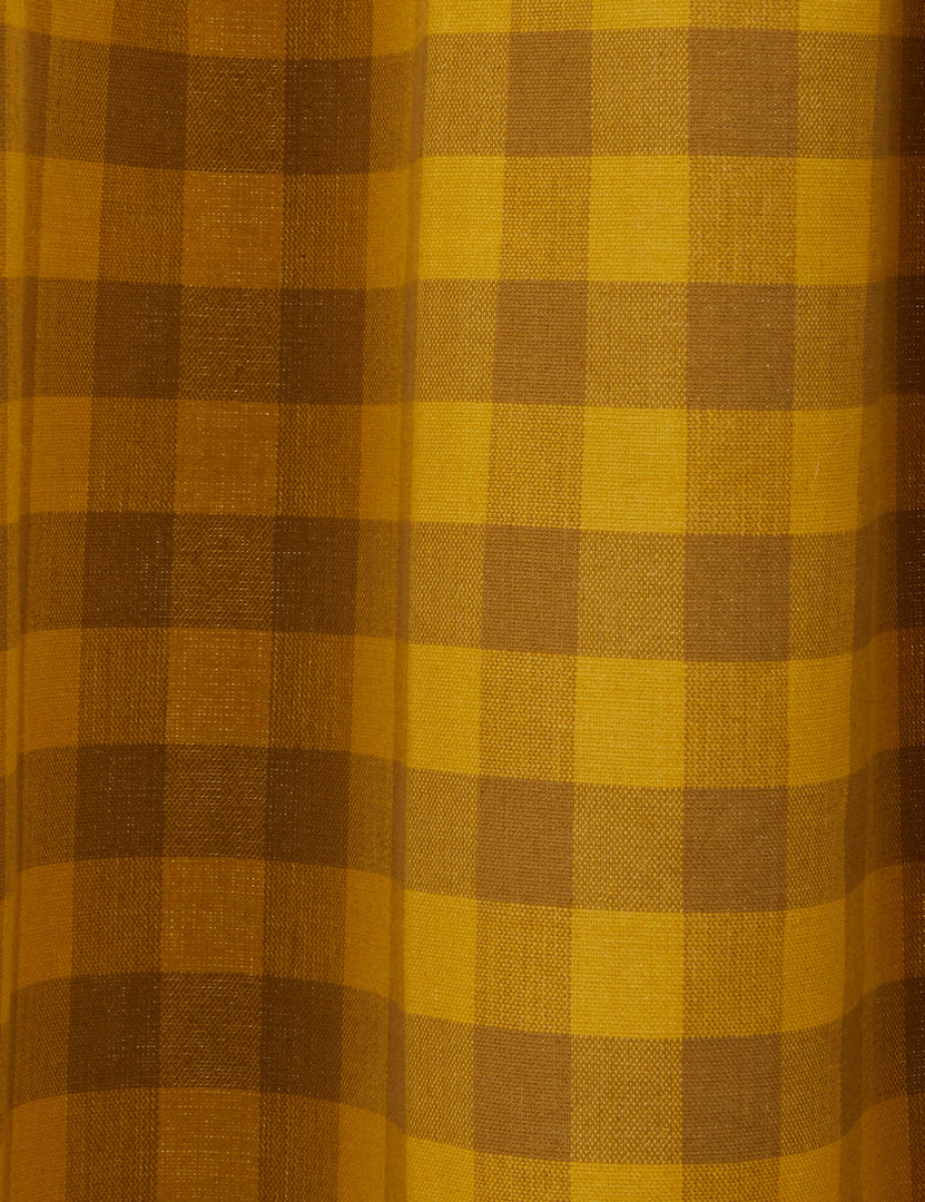 Gingham Shower Curtain by Hawkins New York