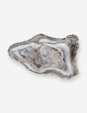 Noki Decorative Petrified Wood Bowl