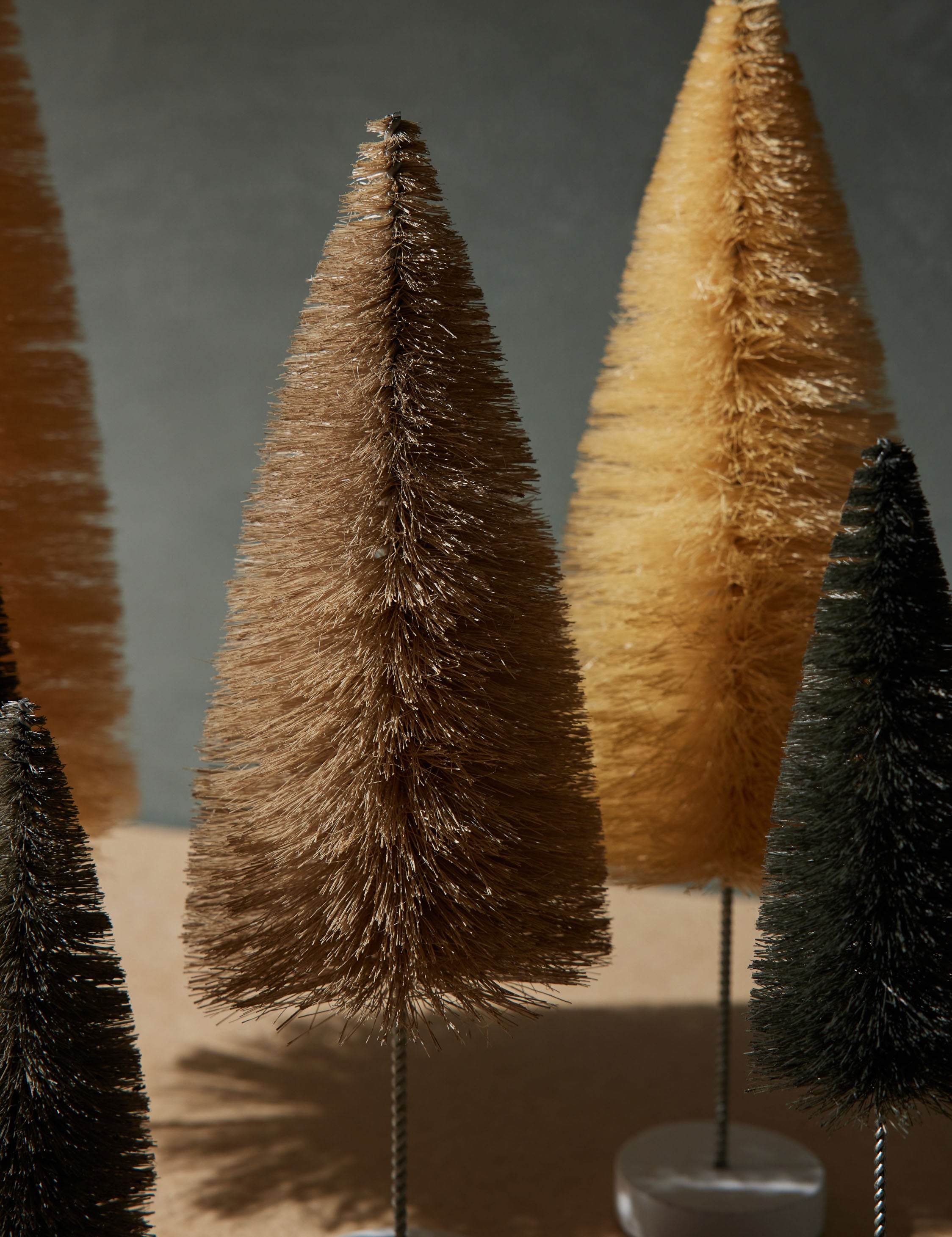 Rainbow Trees (Set of 6) by Cody Foster and Co