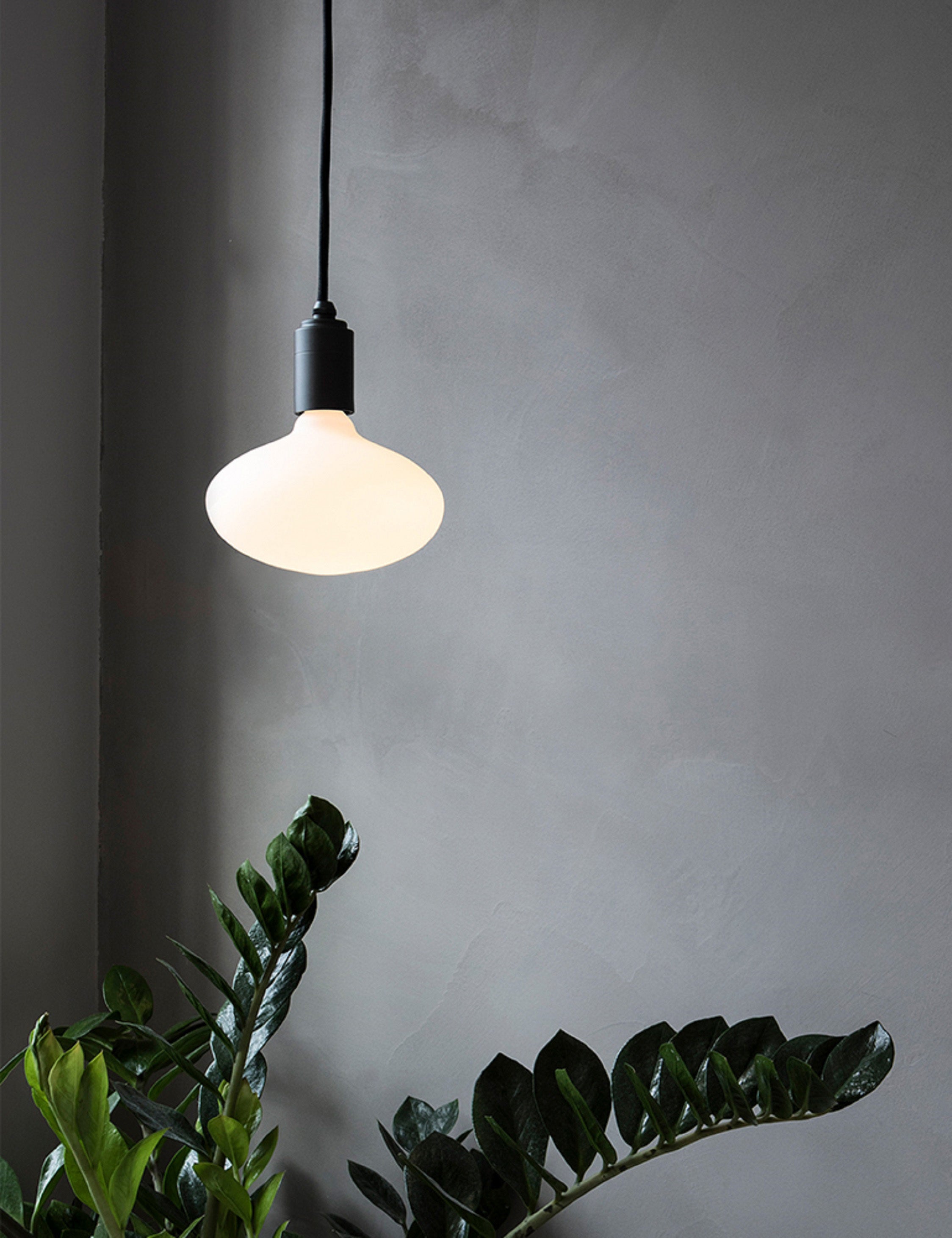 Oval 6W LED Bulb by Tala