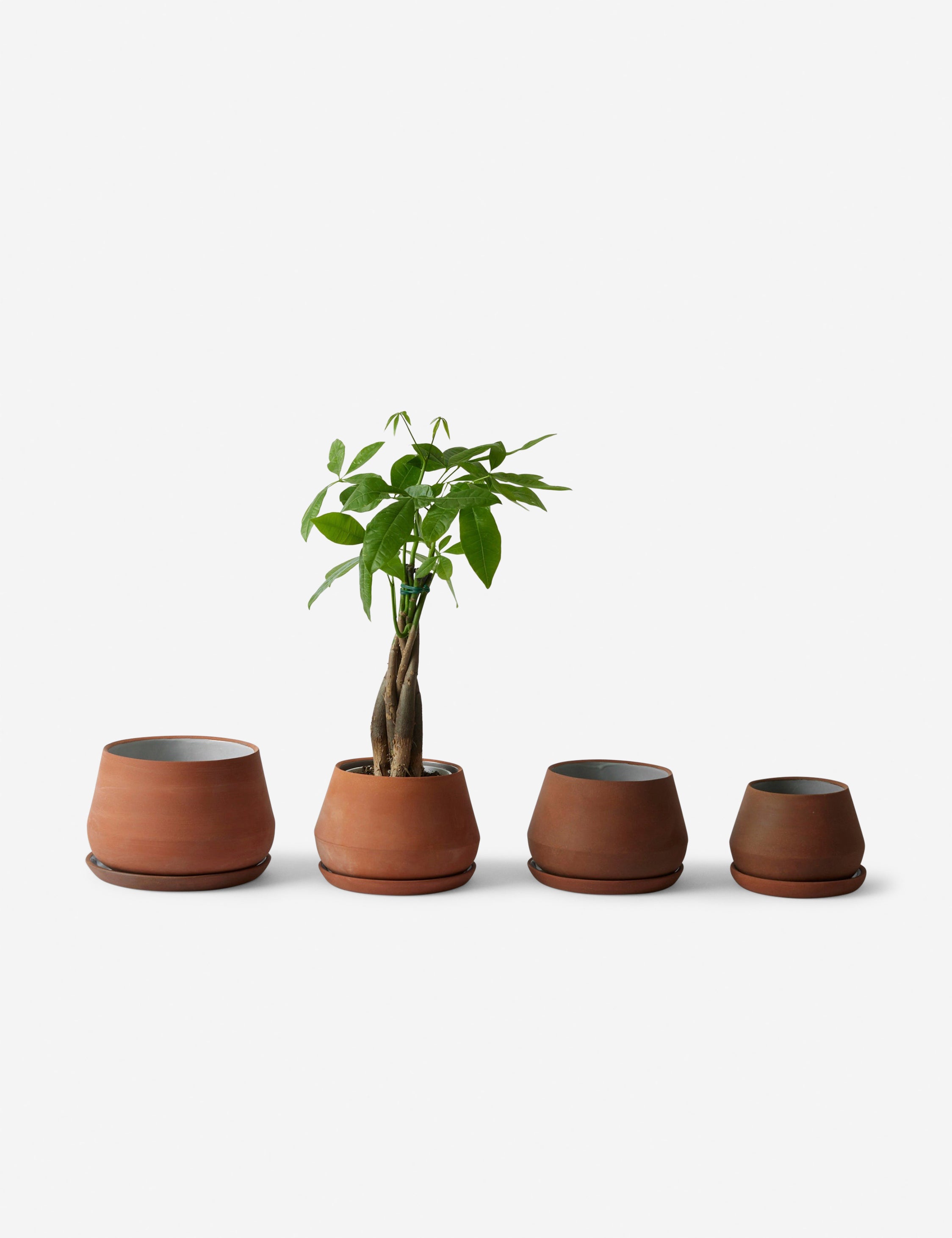 Rancho Ceramic Indoor / Outdoor Planter by LBE Design