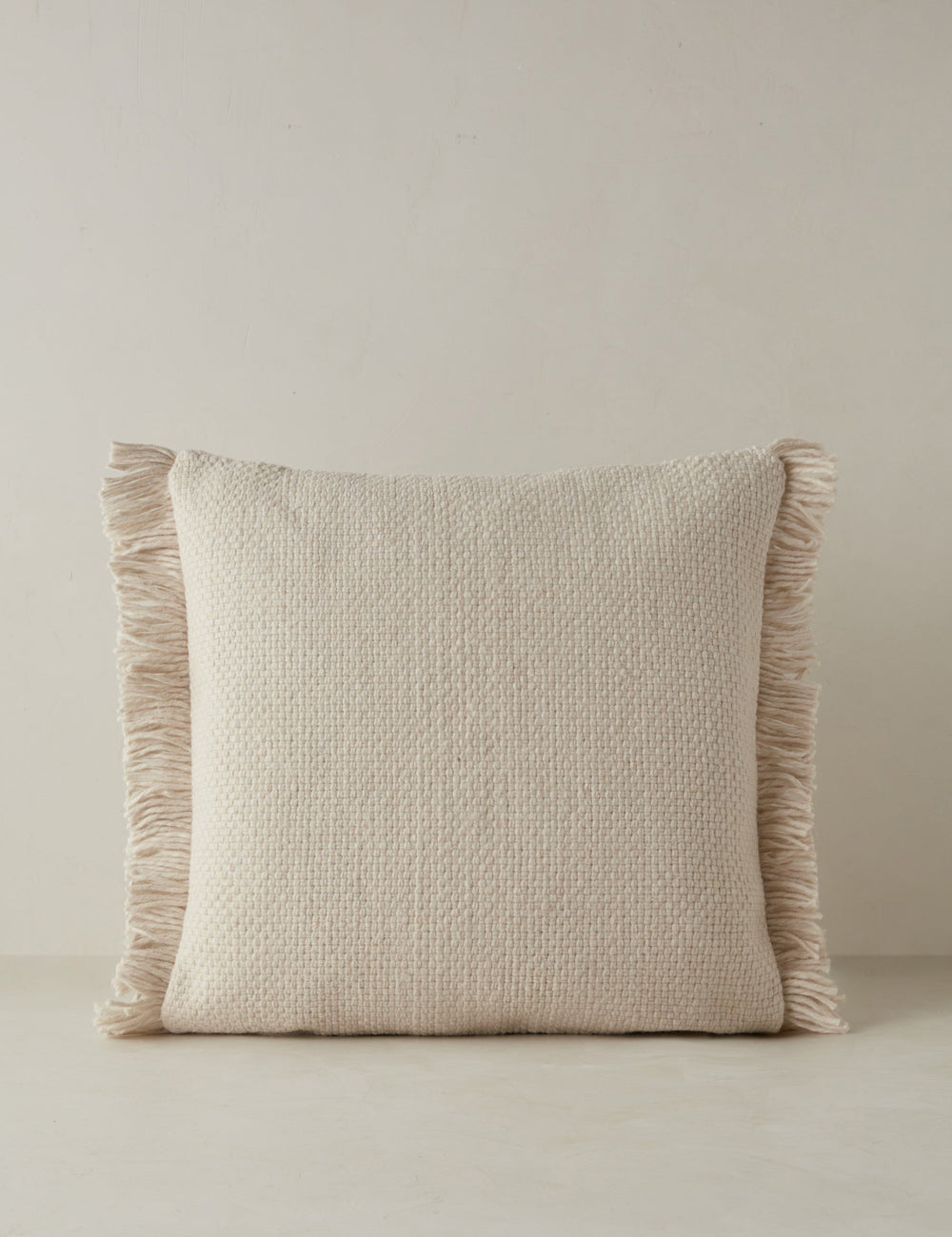 Thorpe Chunky Fringe Indoor / Outdoor Pillow
