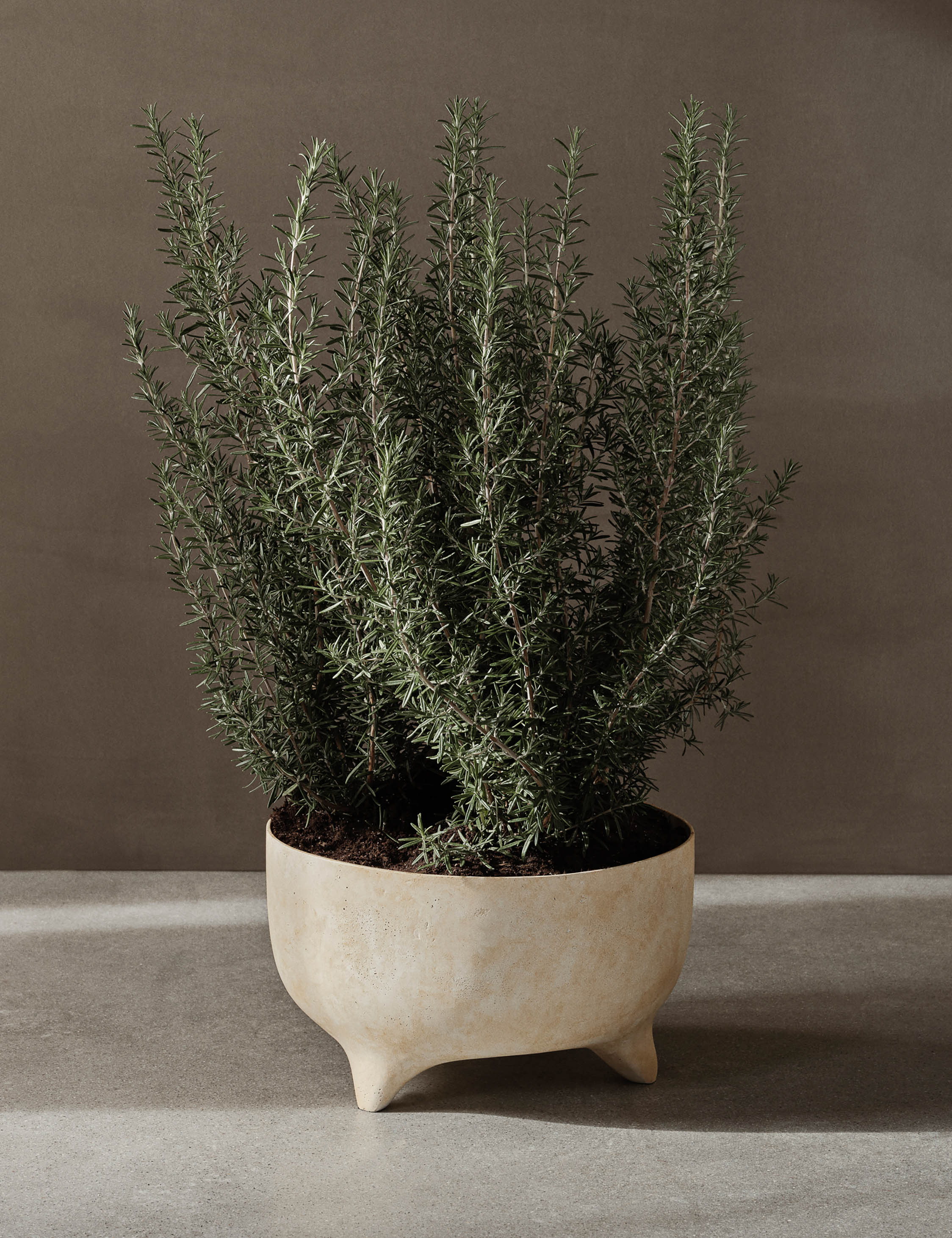 Evoke Low Planter Pot by Ferm Living