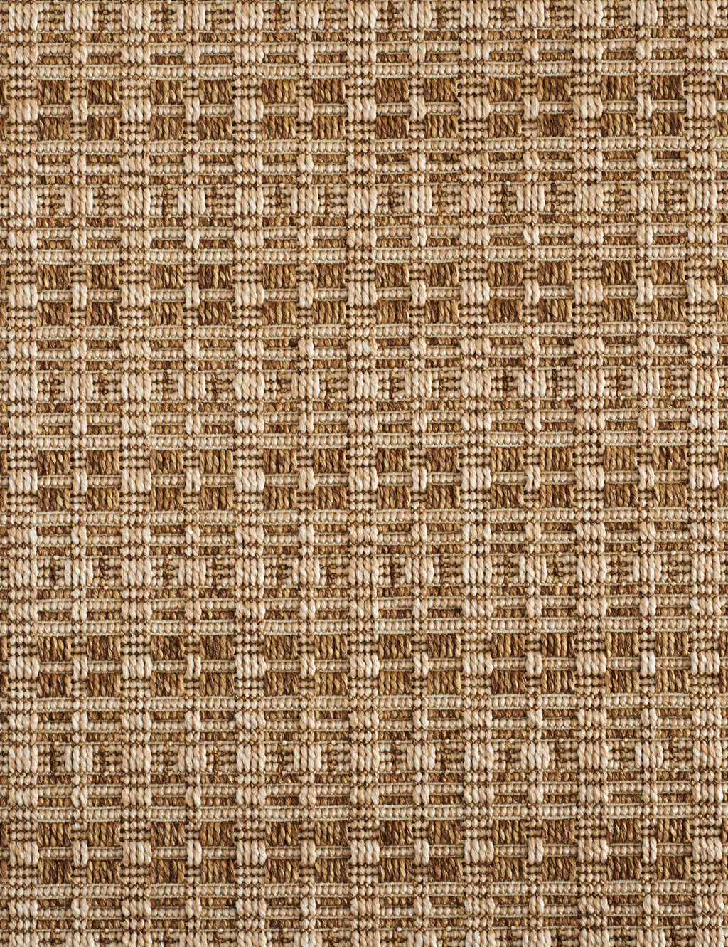 Custom Tannis Indoor / Outdoor Rug, Cedar