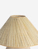 Ertha Neutral Table Lamp With a Woven Palm Shade