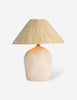 Ertha Neutral Table Lamp With a Woven Palm Shade