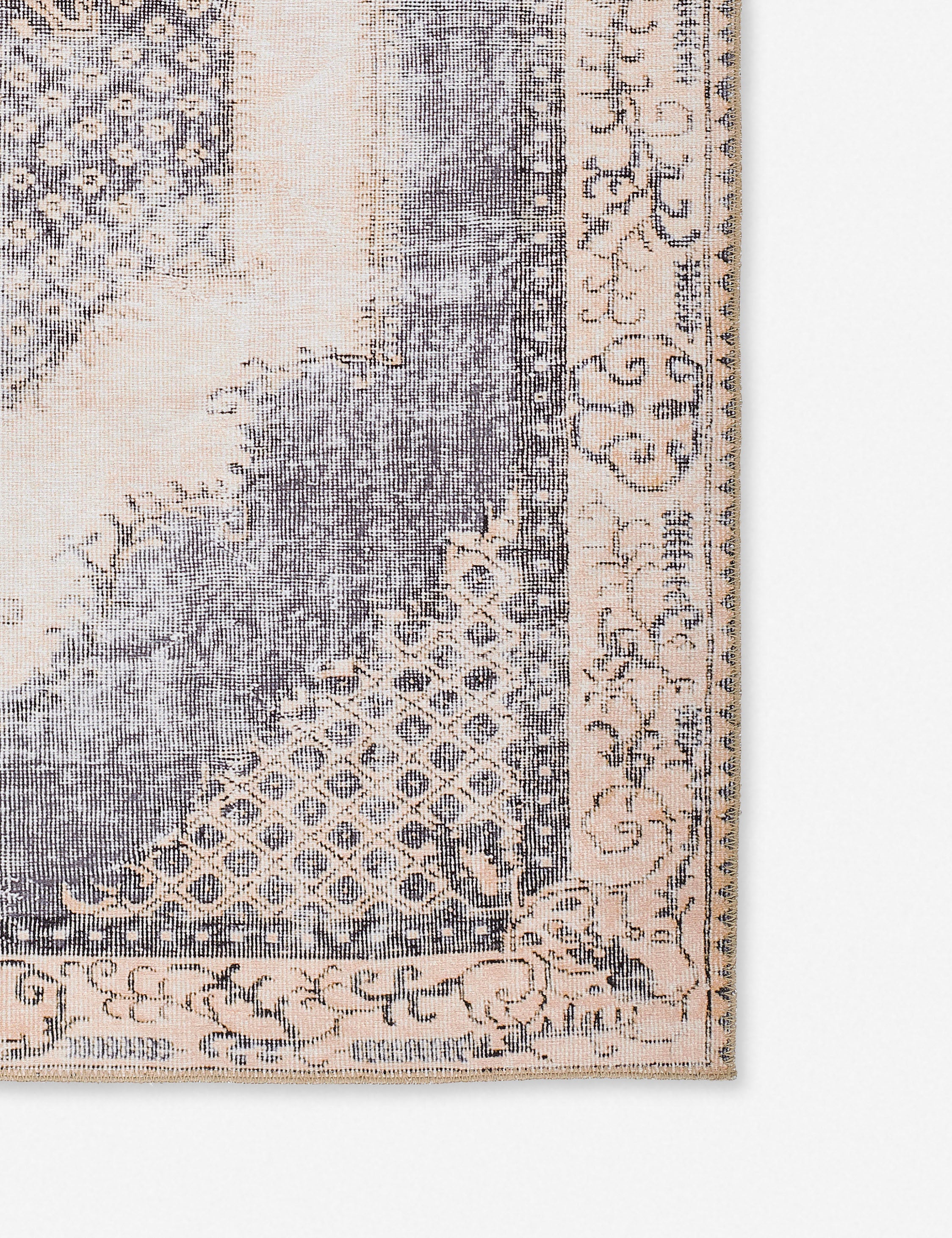 Dharma Vintage-Inspired Traditional Rug