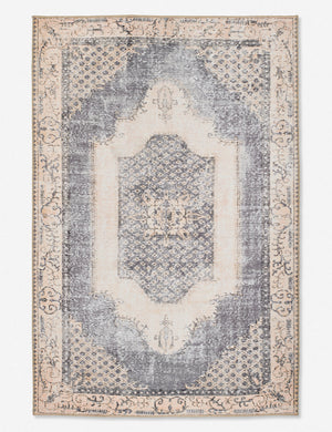 Dharma Vintage-Inspired Traditional Rug