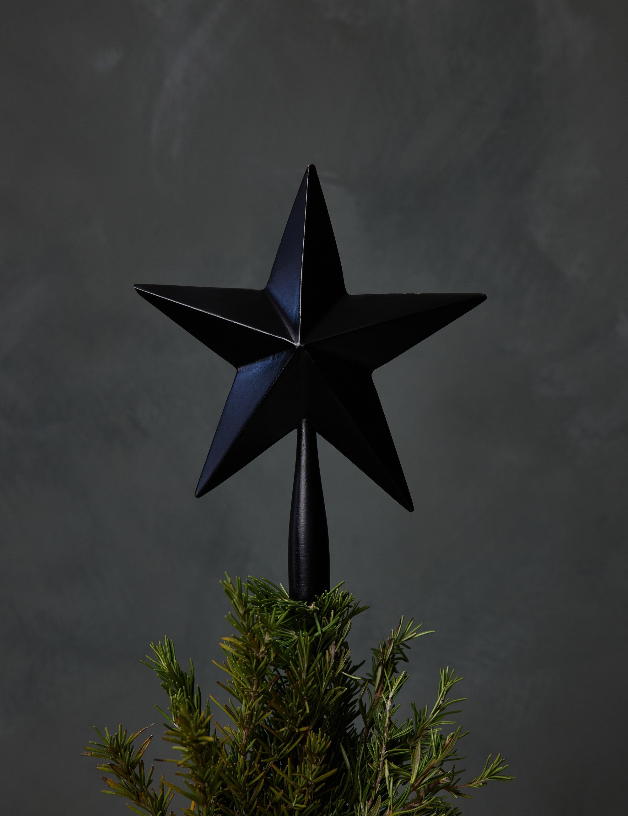 Hand-Painted Wood Tree Topper