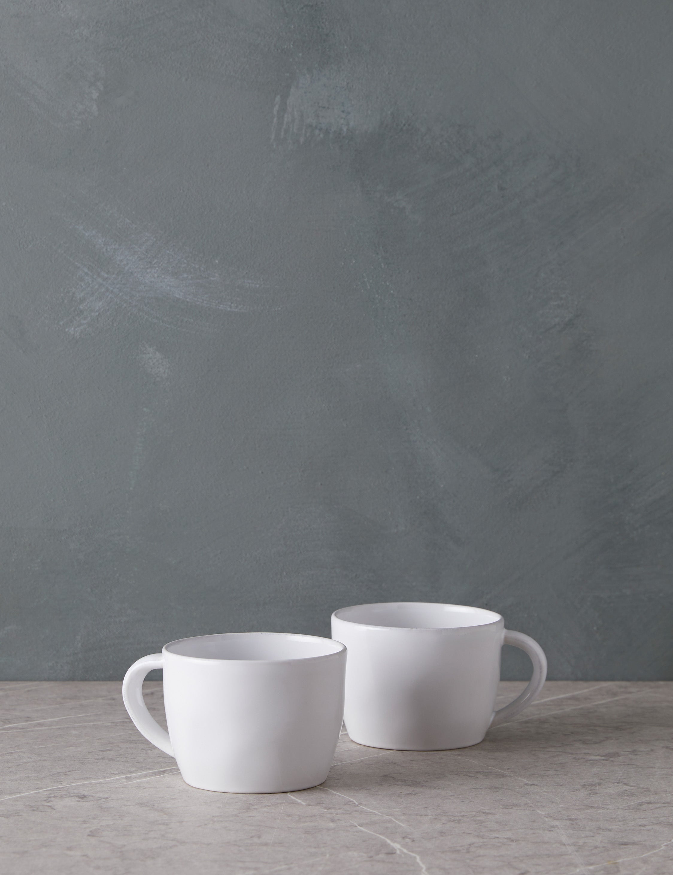 Livia Coffee + Tea Mug by Casafina - Set of 2